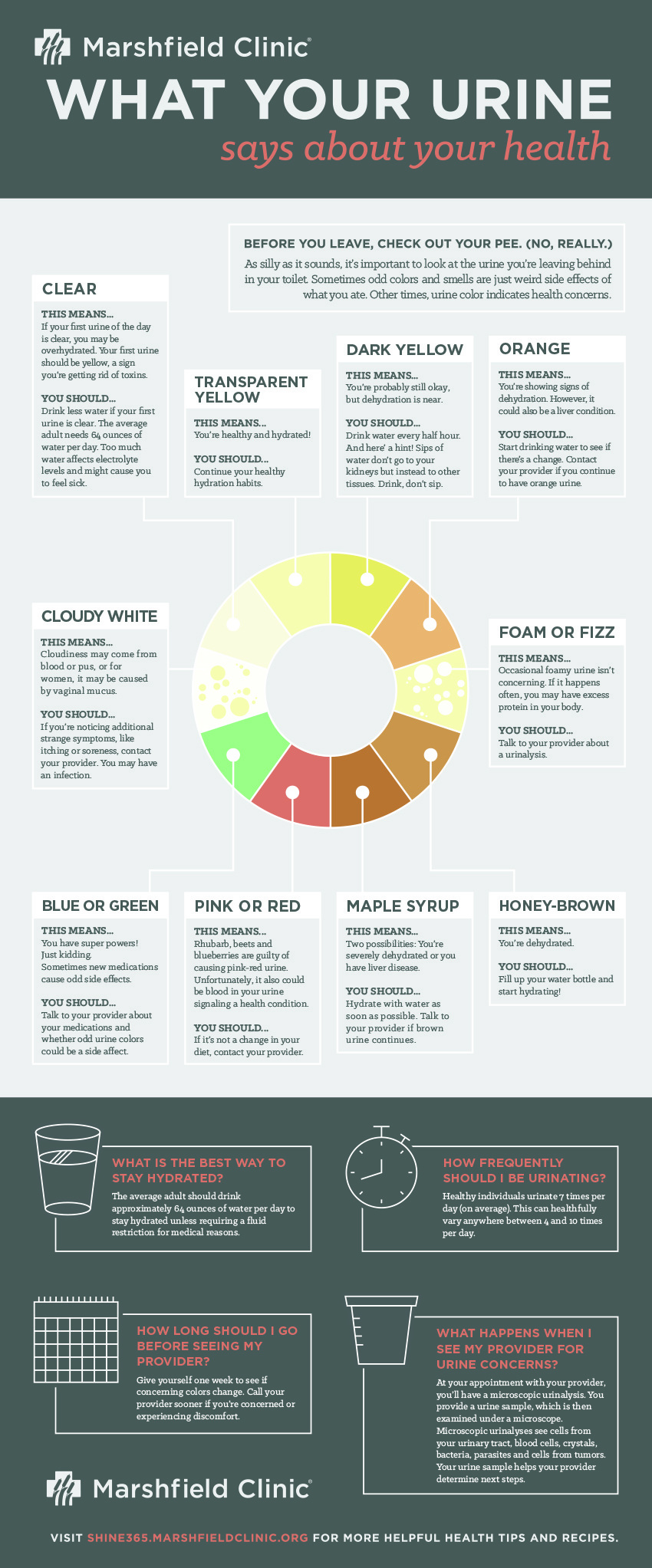 INFOGRAPHIC : HYDRATION - JOSHUA LEE CREATIVE : The Art, Design ...