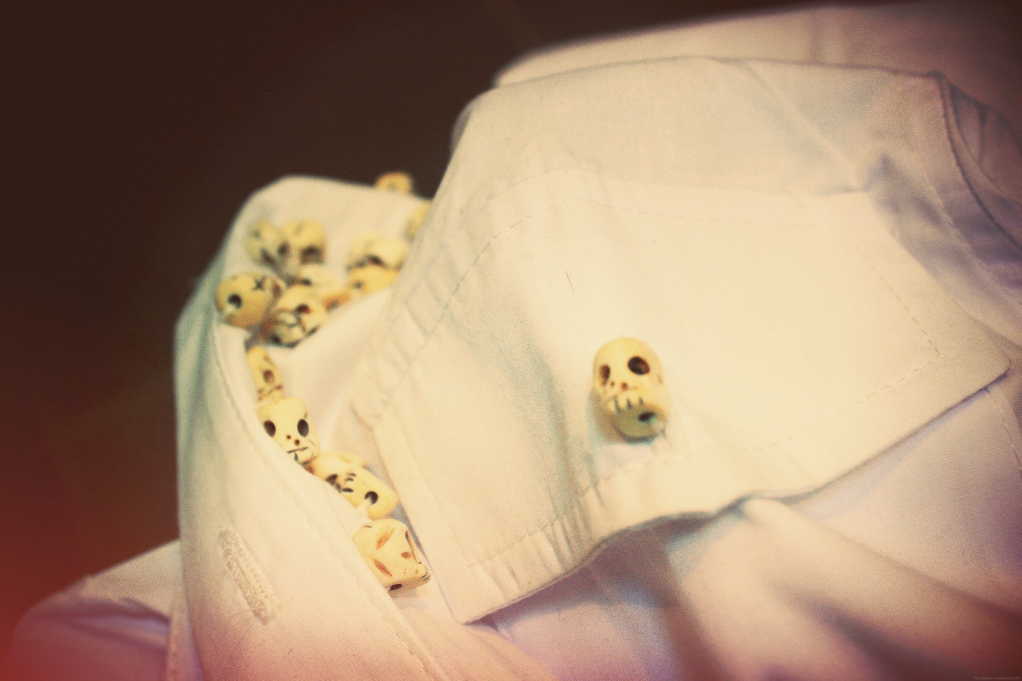 Lee Paton, Studio Assistant - nicolehelentrundle