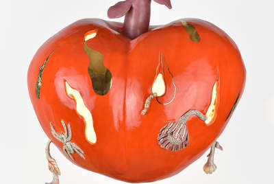 About - Emily Counts