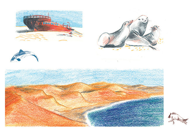 Save our Seas - About Today - Illustration by Lizzy Stewart