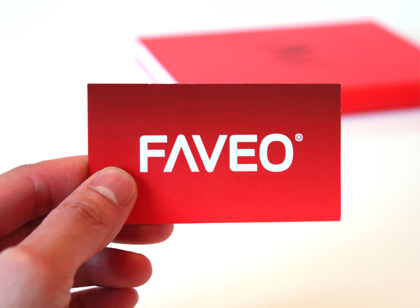 Faveo prosjektledelse - Brandlab OSLO