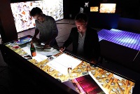 VBH / Project X - vesabios