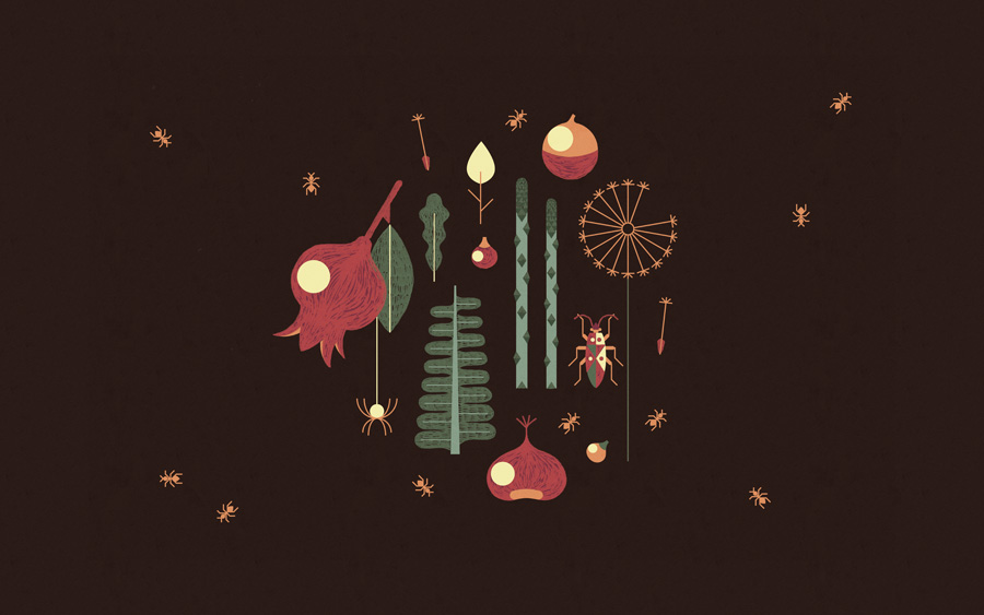 Kuvva Wallpapers - alconic — Andrea Manzati