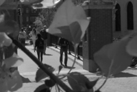 everyday: water - james j grady portfolio