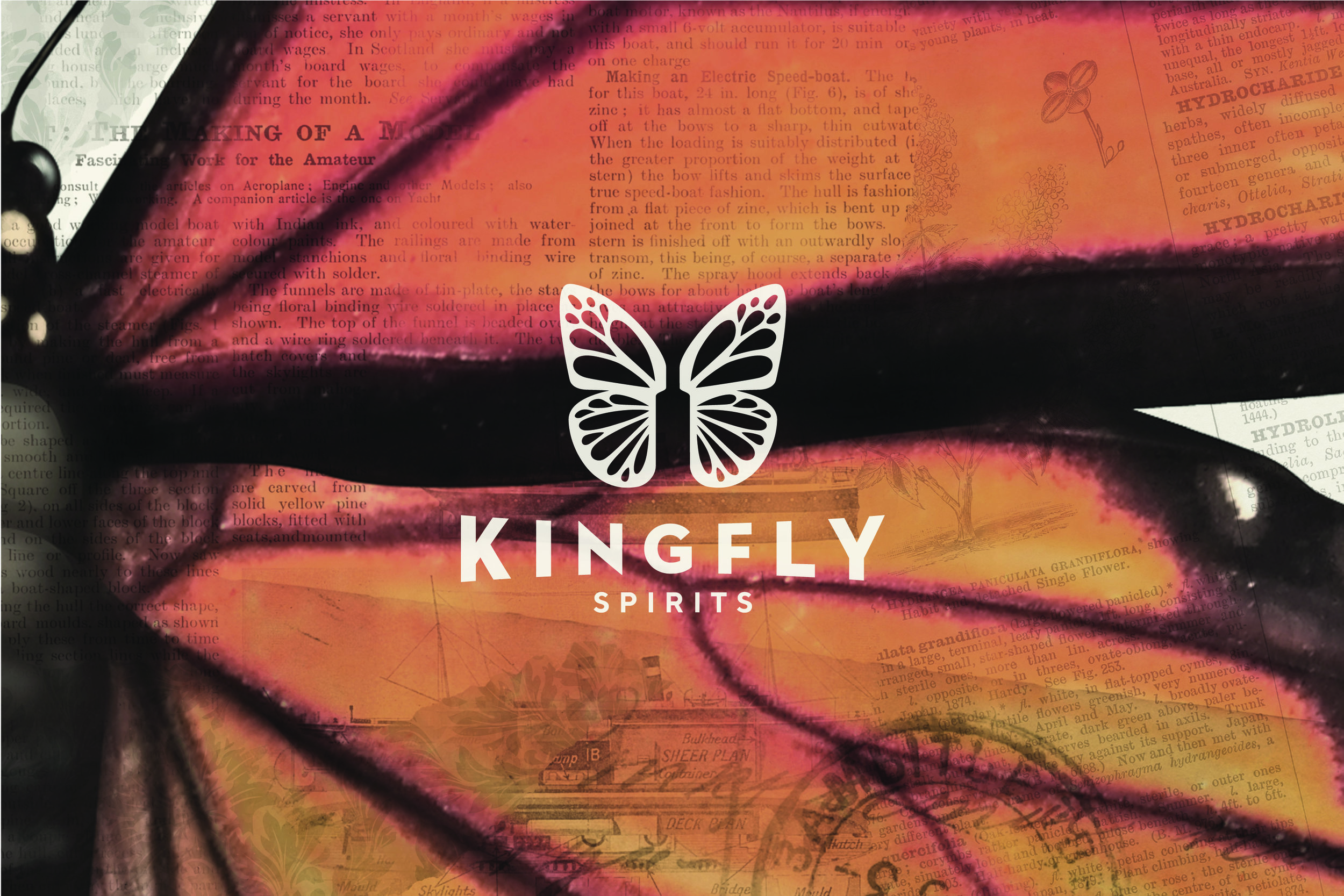 Kingfly Spirits - Justin Flagg | Design & Creative Direction
