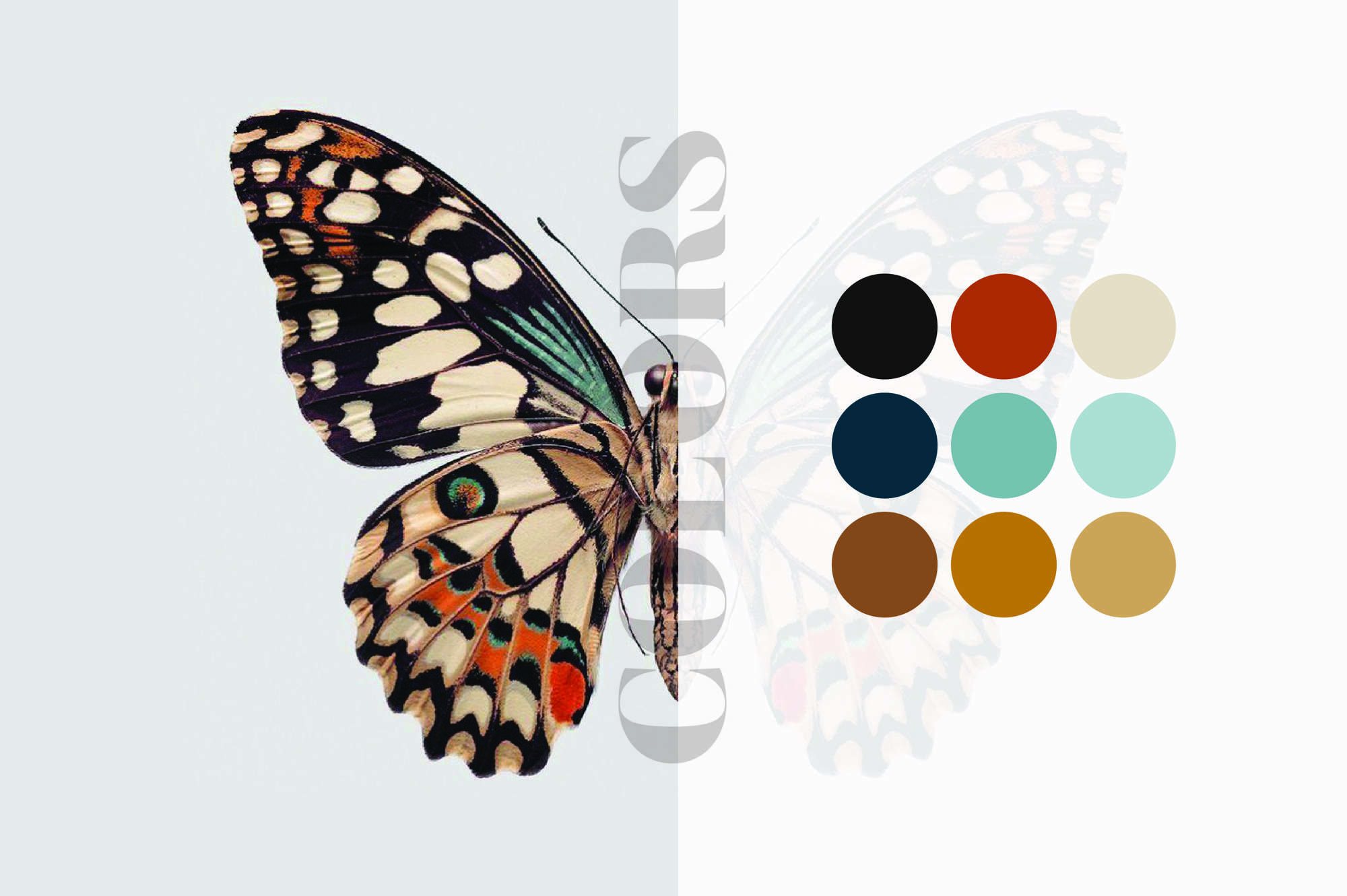 Kingfly Spirits - Justin Flagg | Design & Creative Direction