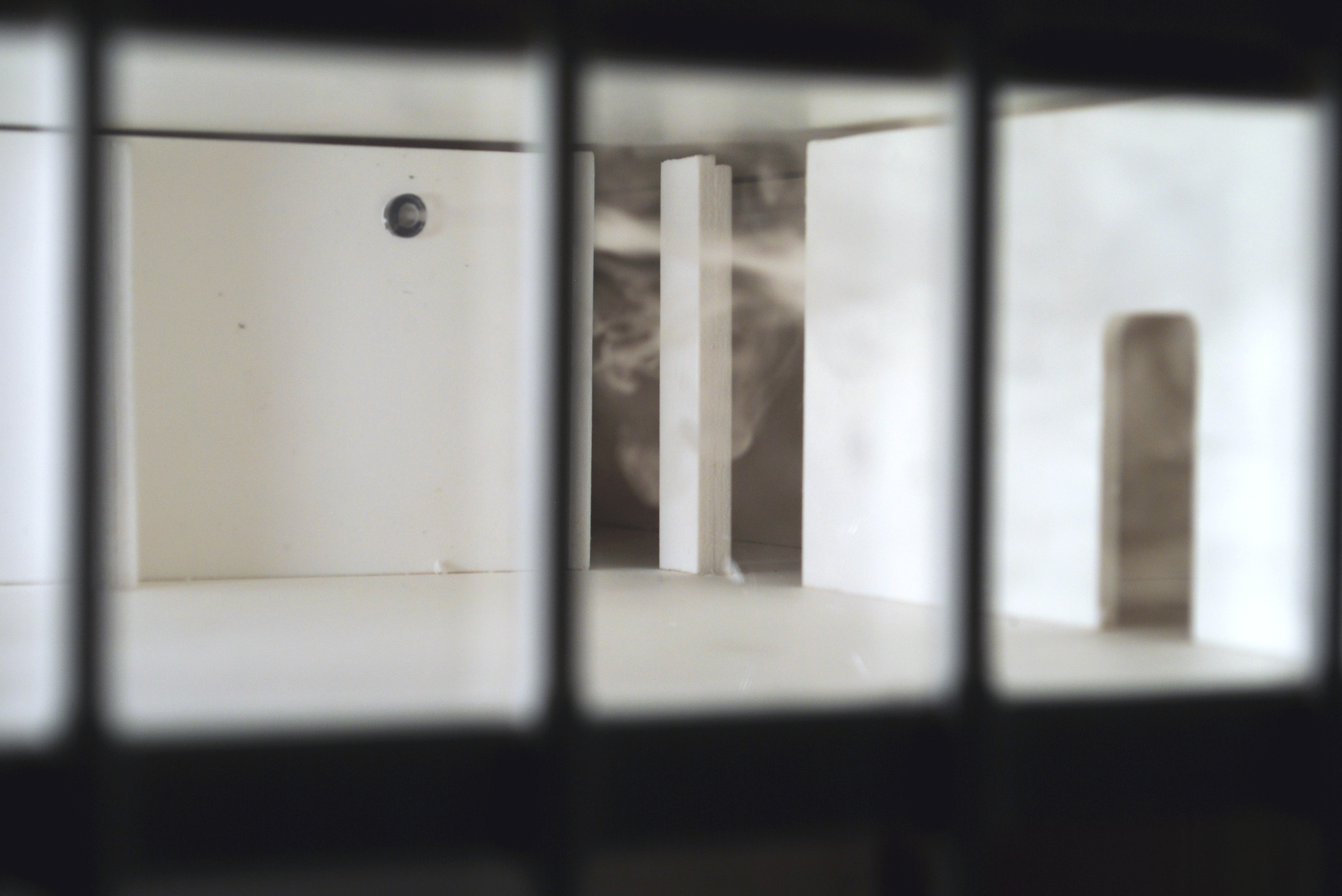 Maxwell - Harrison Tyler Archive