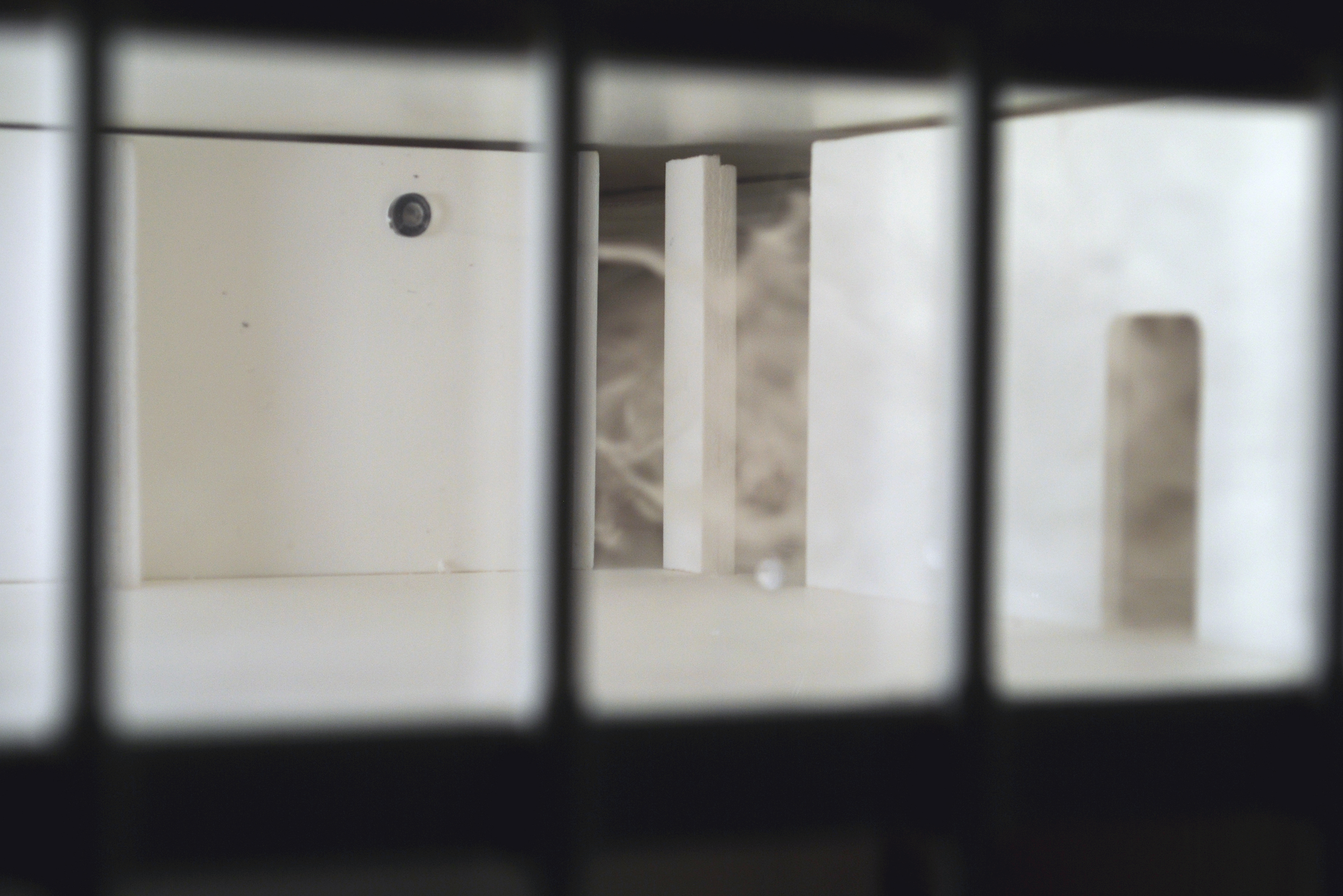 Maxwell - Harrison Tyler Archive