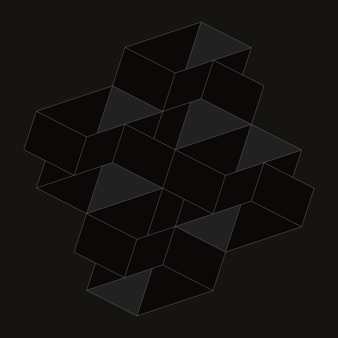 Reflections on Symmetry - Cartoon Distortion by Luis Blackaller