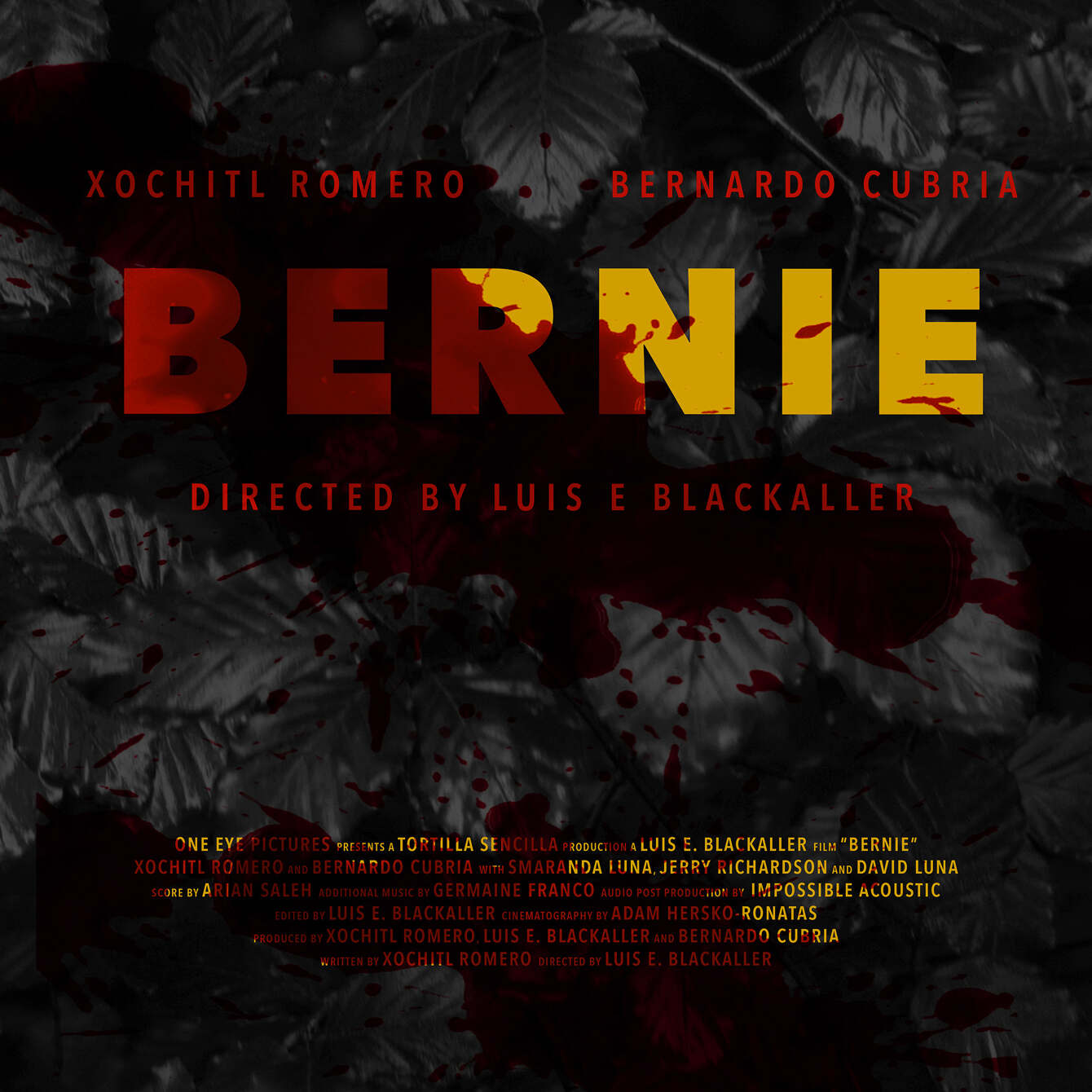 Bernie - Cartoon Distortion by Luis Blackaller