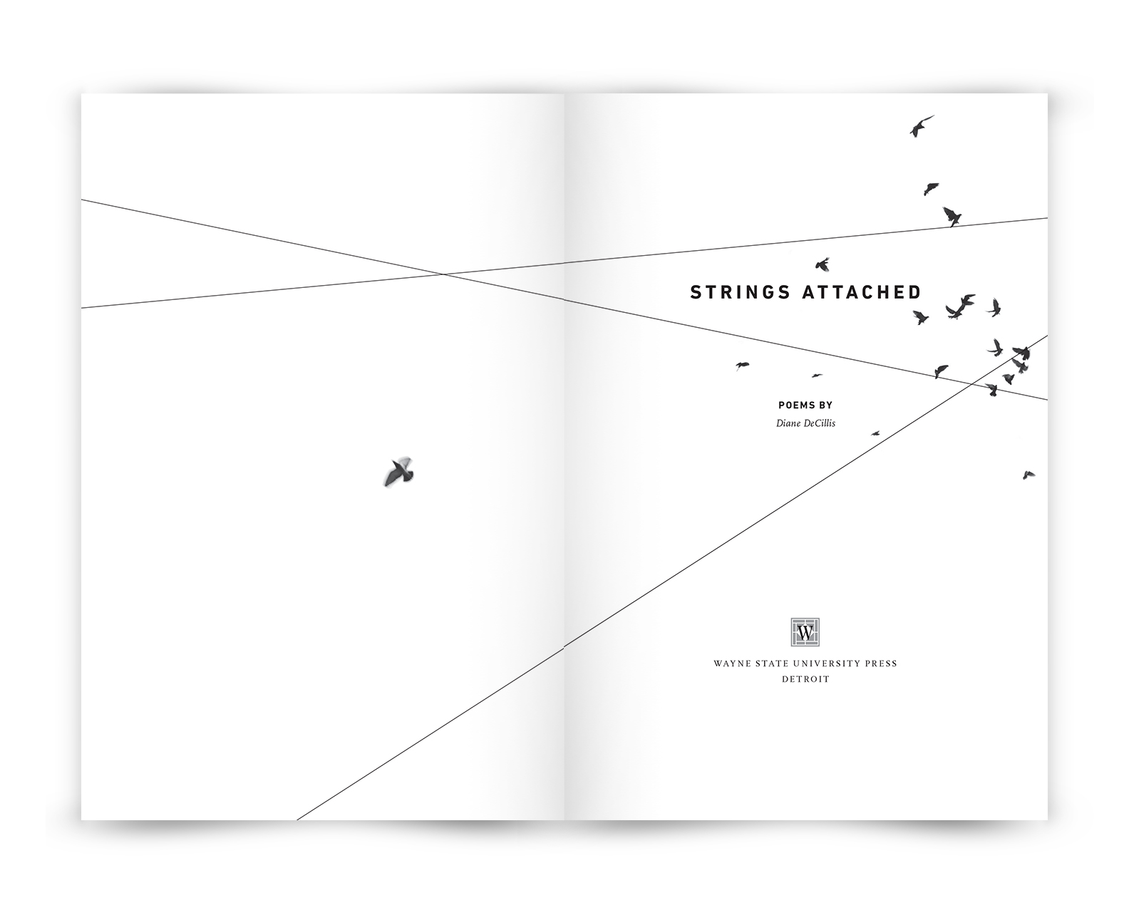 Strings Attached - Andrew Kopietz / Book Cover Design / Art Direction