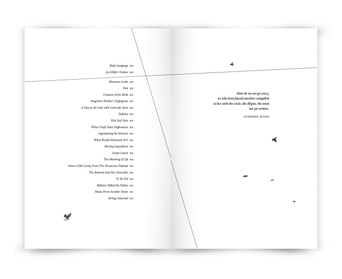 Strings Attached - Andrew Kopietz / Book Cover Design / Art Direction