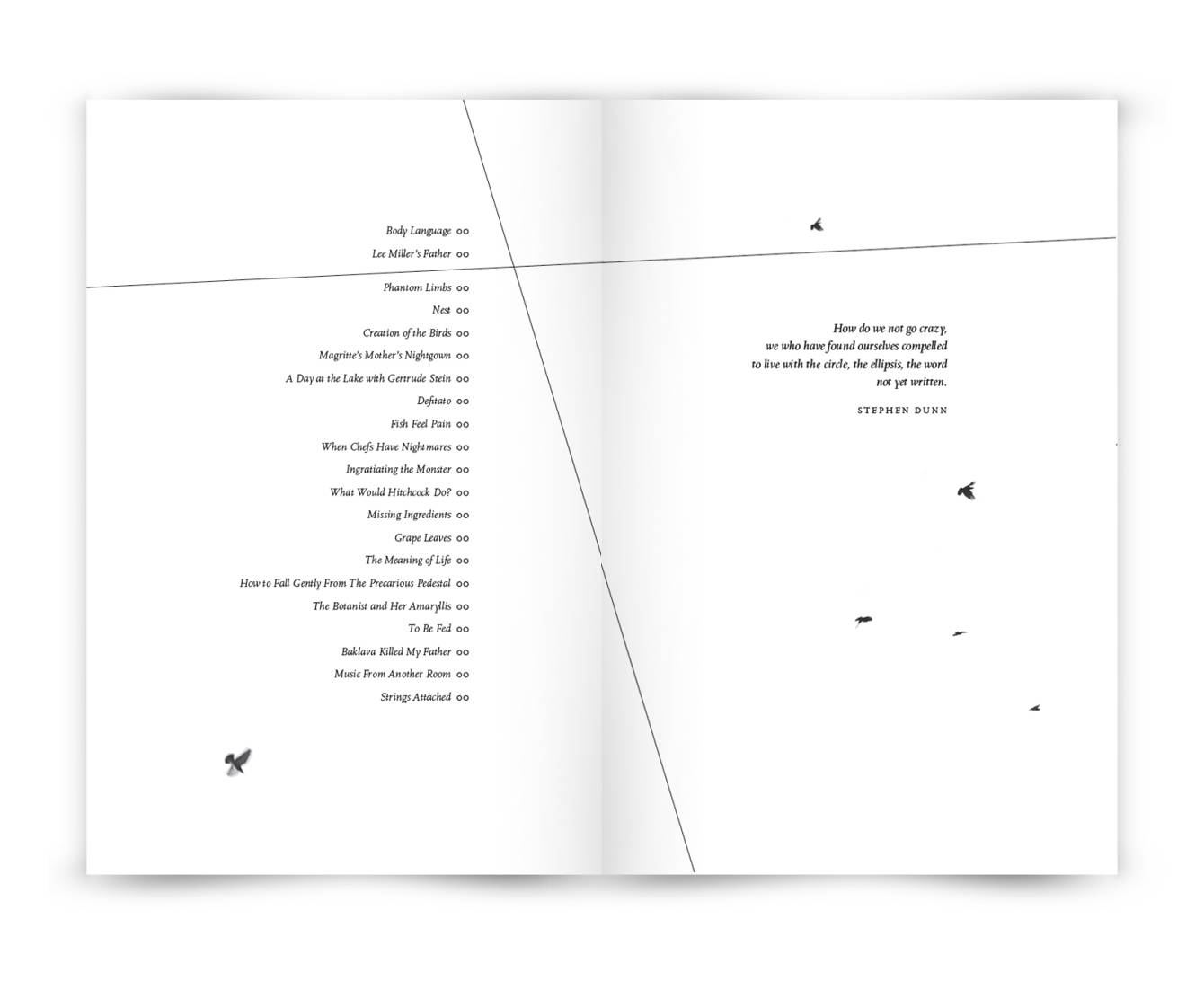 Strings Attached - Andrew Kopietz / Book Cover Design / Art Direction