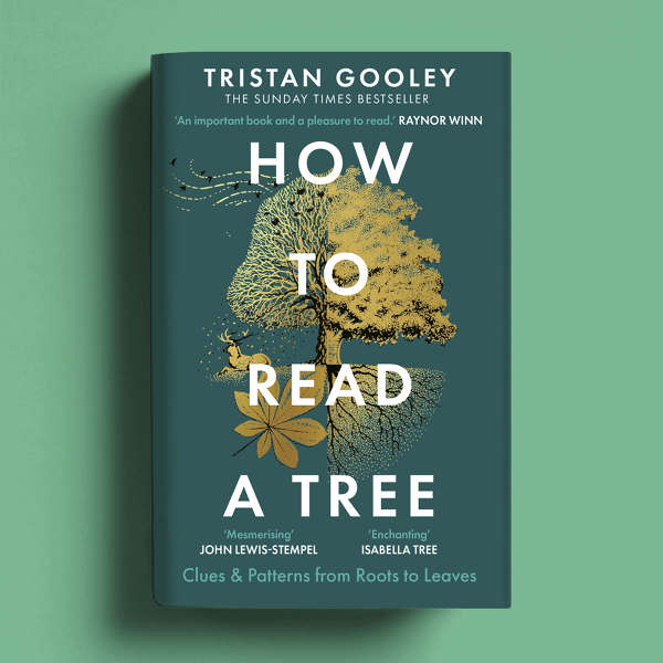 Saffron Stocker-Book Design