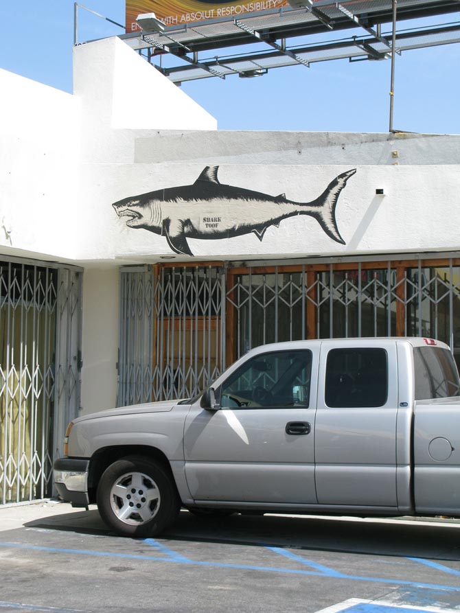 Shark Toof, Shark Season in Los Angeles - unurth | street art