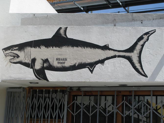 Shark Toof, Shark Season in Los Angeles - unurth | street art