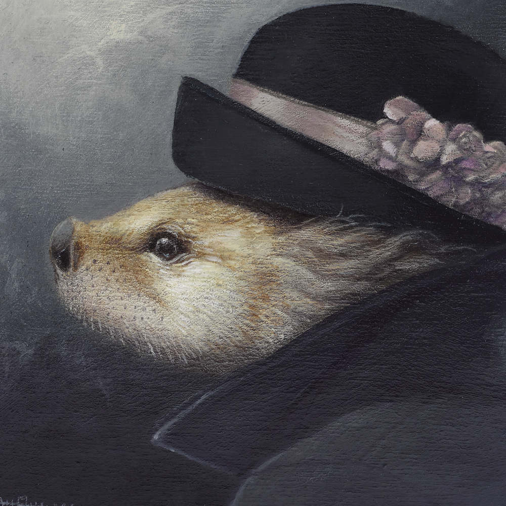 Agapanthus - eric hamm