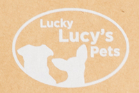 5. Identity - PK3 - Graphic Design, Illustration, Photography