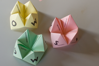 Slow Fortunetellers - Sanneke Duijf