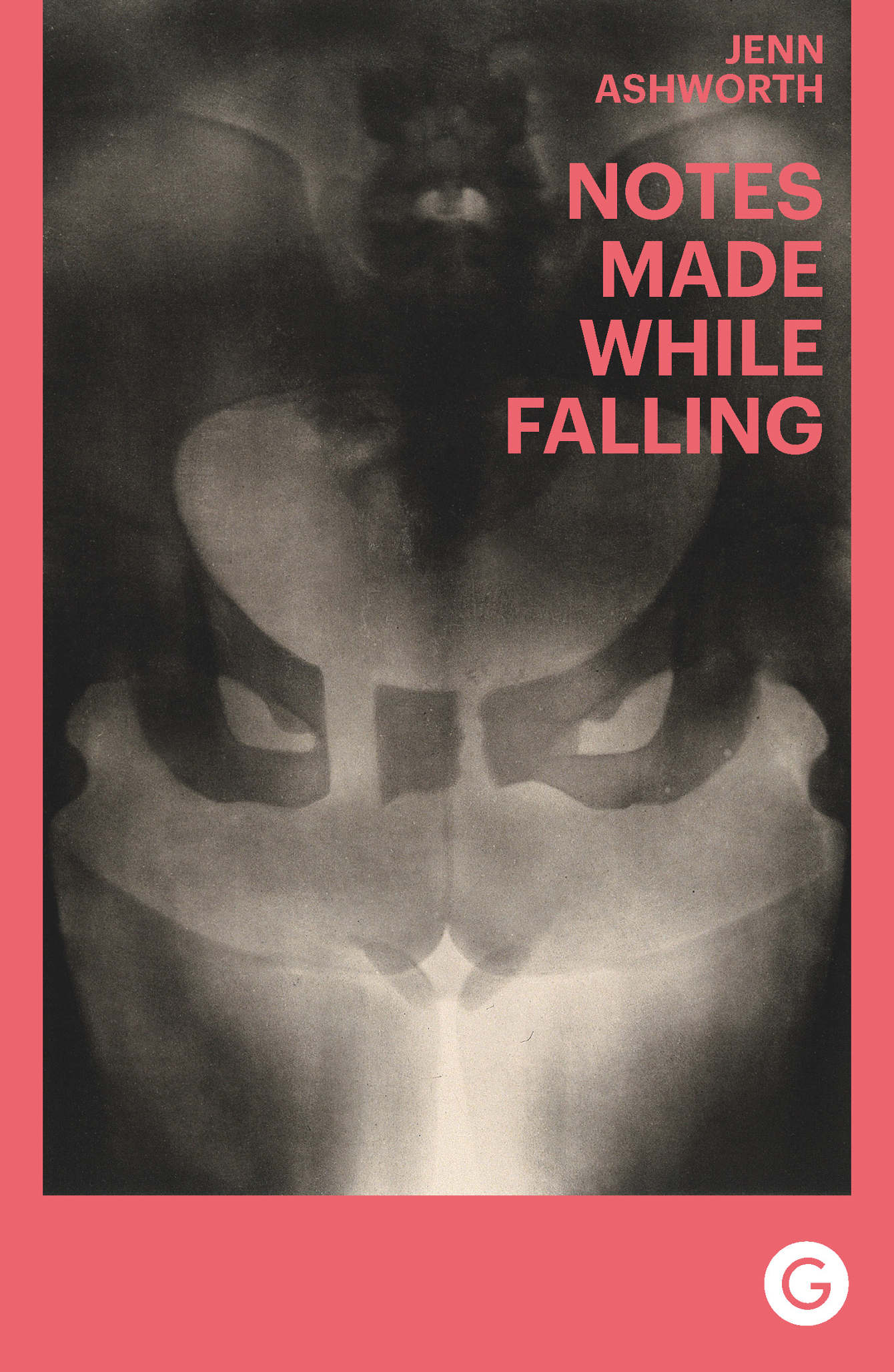 Notes Made While Falling book cover - Rada Lewis