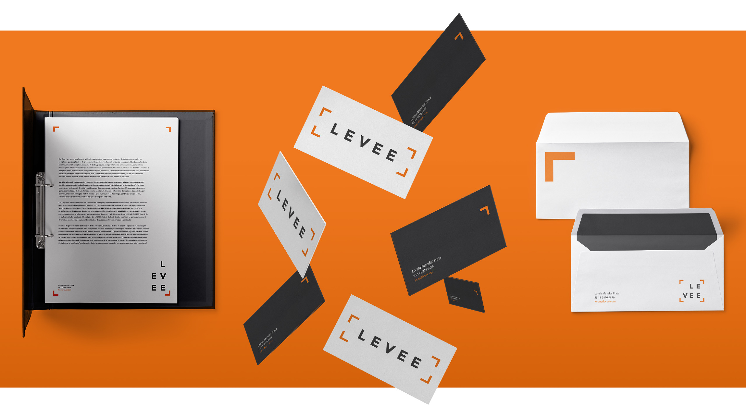 LEVEE - Emilio Dossi