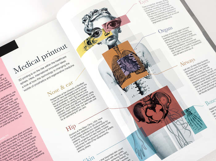 Orlagh Murphy Illustration