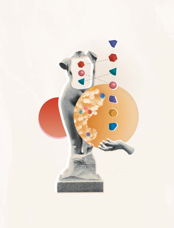 National Institutes of Health - Orlagh Murphy Illustration