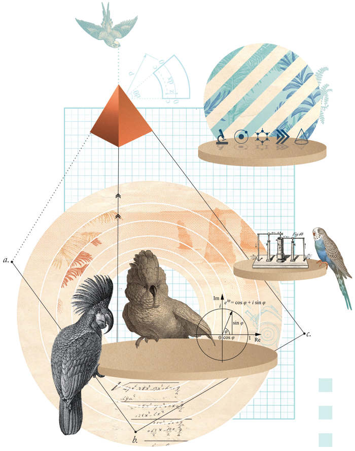 Orlagh Murphy Illustration