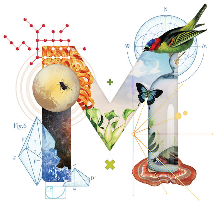 Orlagh Murphy Illustration