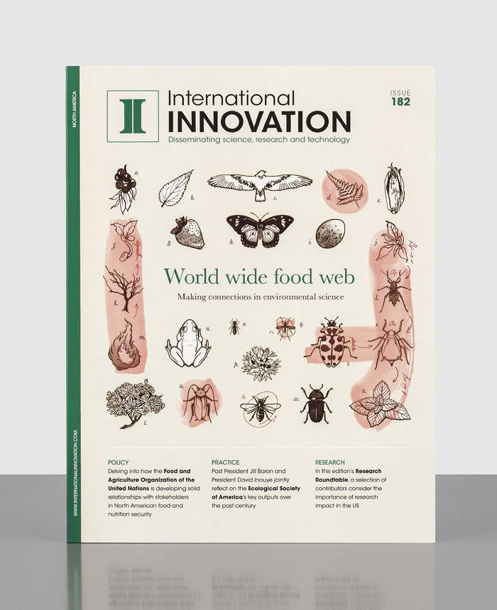 Orlagh Murphy Illustration