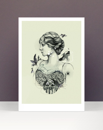 Orlagh Murphy Illustration