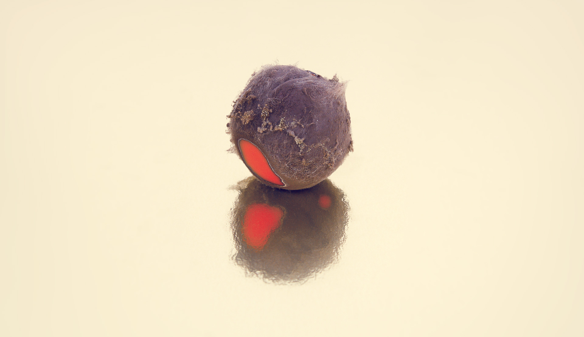 Tupperware Project - PLASTICBIONIC ::: Art direction, Graphic Design ...