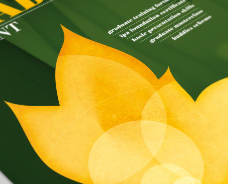 Growing Our Talent - Fifty Fathoms branding and design consultancy ...