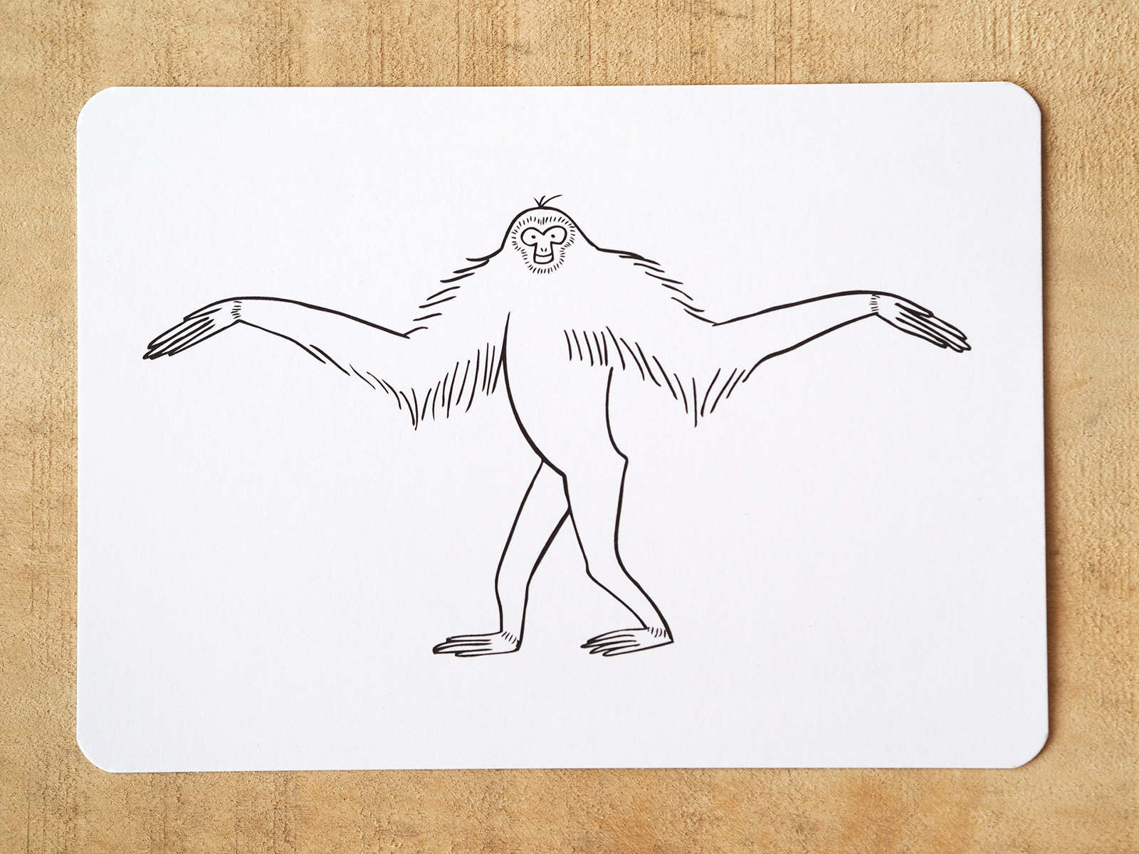 Ginger Monkeys - Mary and the Locks