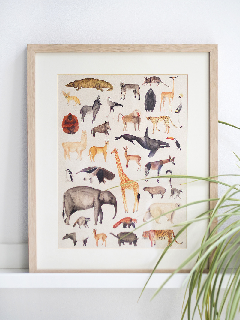 Animal Poster II - Mary and the Locks