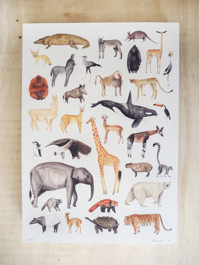 Animal Poster II - Mary and the Locks