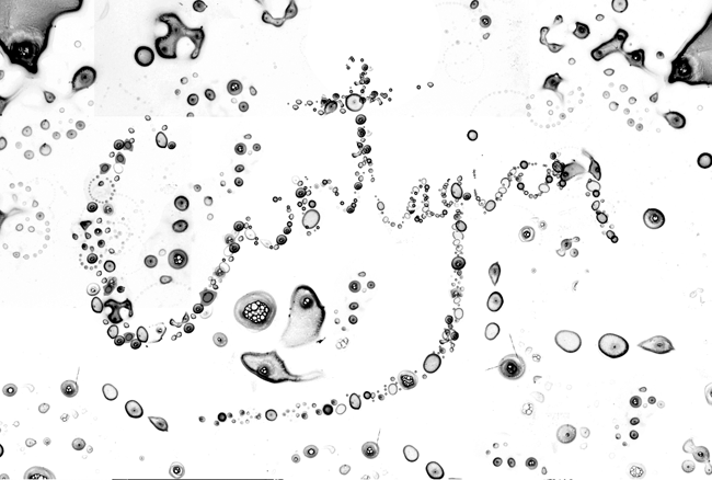 Contagion - iamalwayshungry