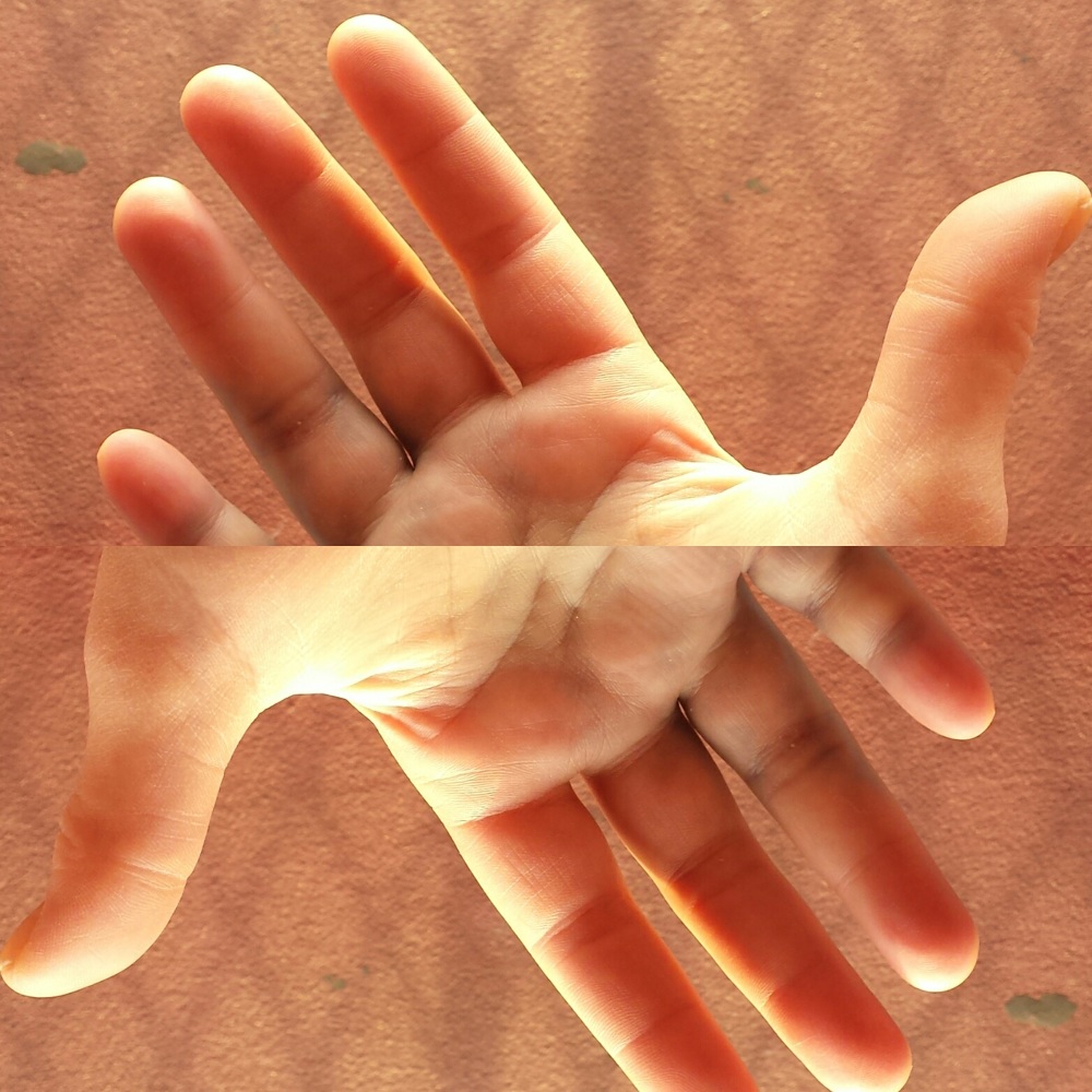 THE HAND PROJECT - Meg Graham