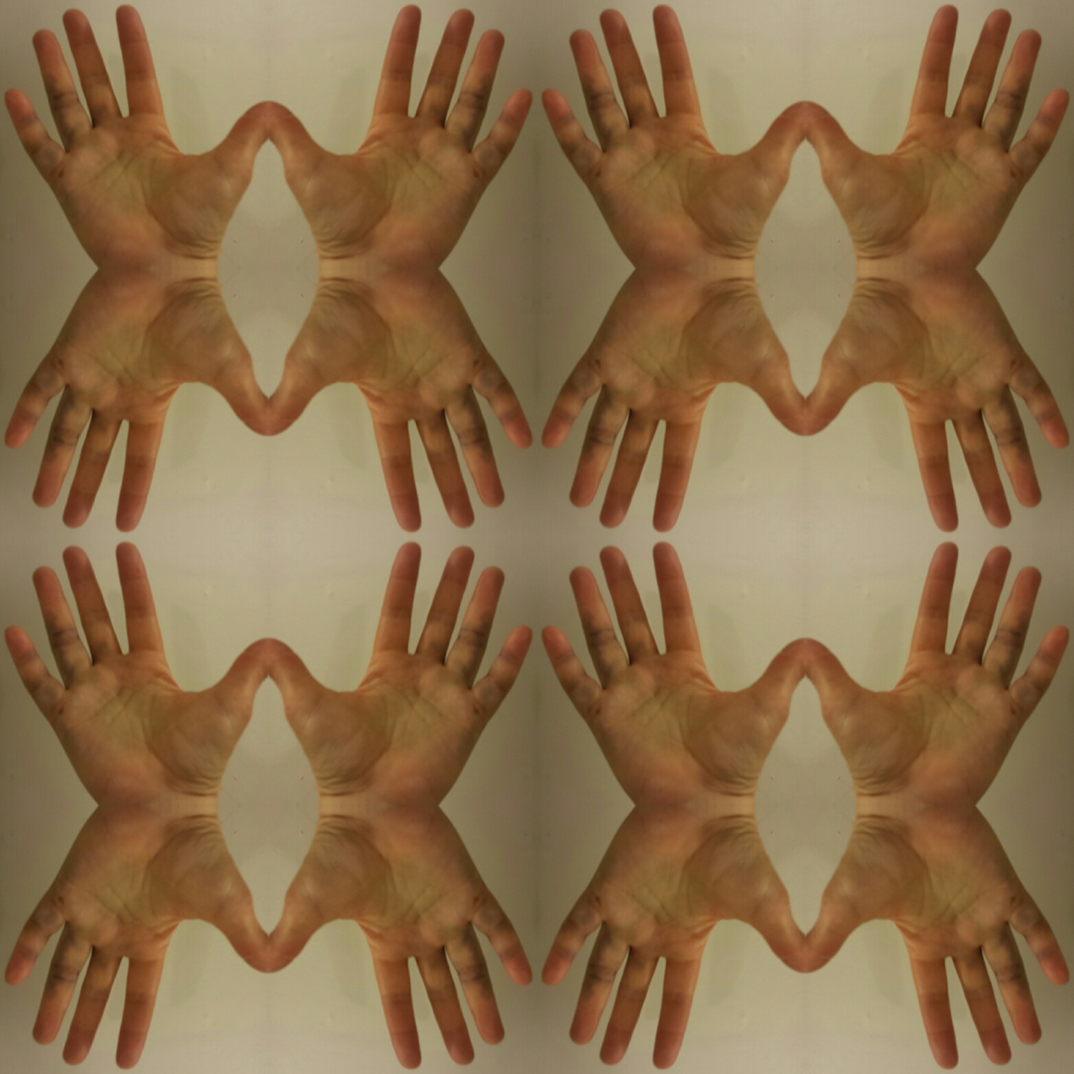 THE HAND PROJECT - Meg Graham