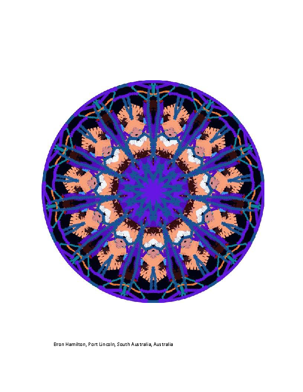 100 MANDALAS PROJECT /CITY ARTIST CORP GRANT - Meg Graham