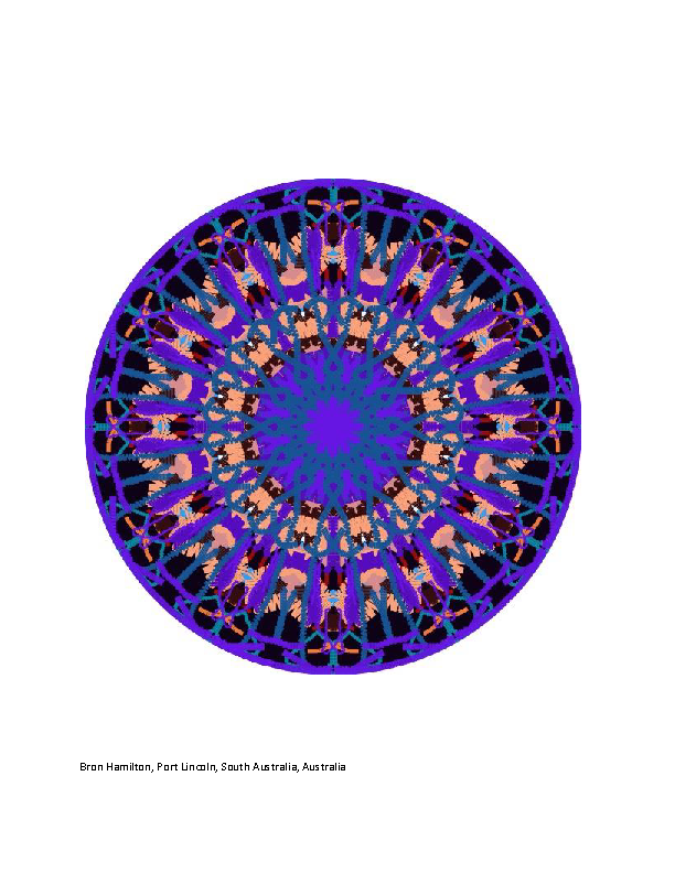 100 MANDALAS PROJECT /CITY ARTIST CORP GRANT - Meg Graham