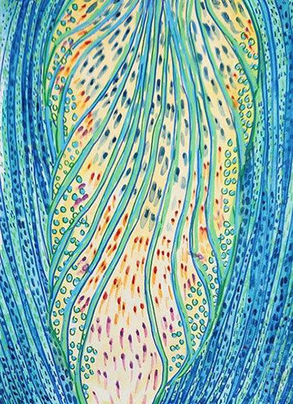 BOTANICAL FORMS - Meg Graham