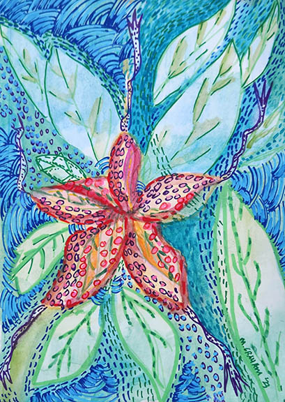 BOTANICAL FORMS - Meg Graham