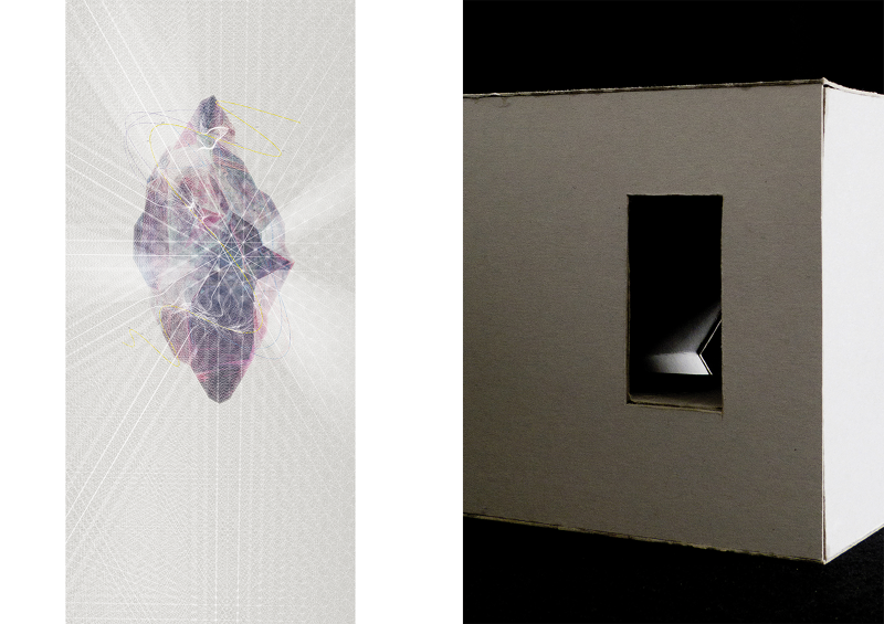 Cone of Vision - KWY.studio