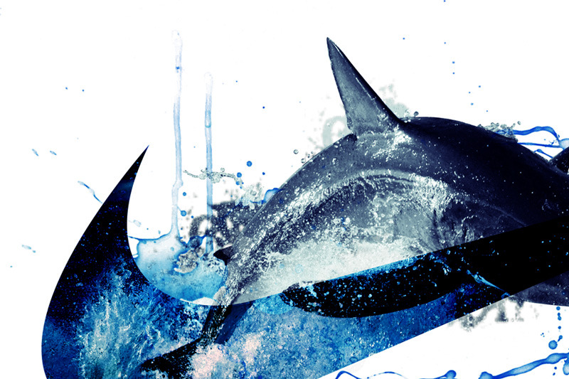 NIKE Swim - Just Did It. - MACA - Creative Works of Matt Cadiz