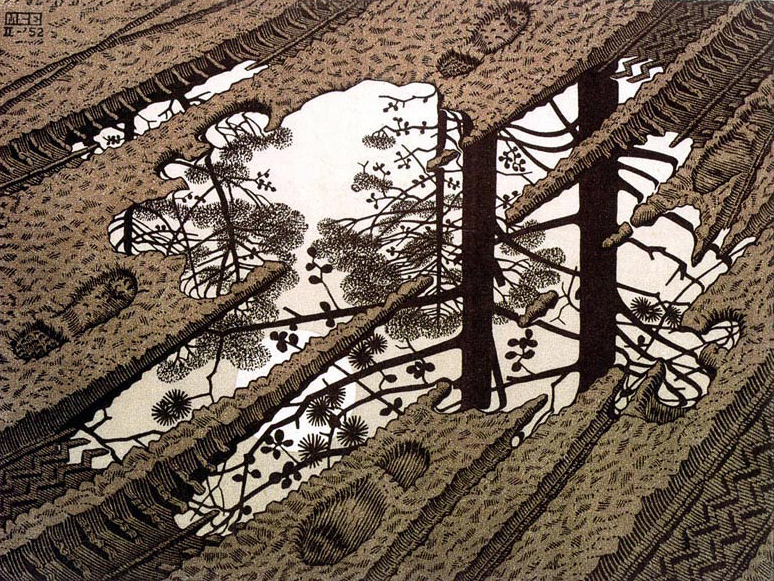 Plas, Puddle - M.C. Escher - Cargo example design