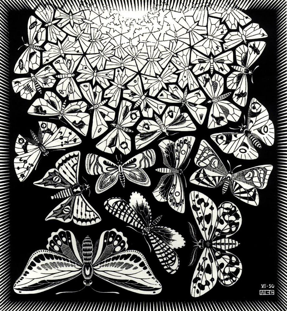 Butterflies - M.C. Escher - Cargo example design