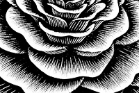 M.C. Escher - Cargo example design