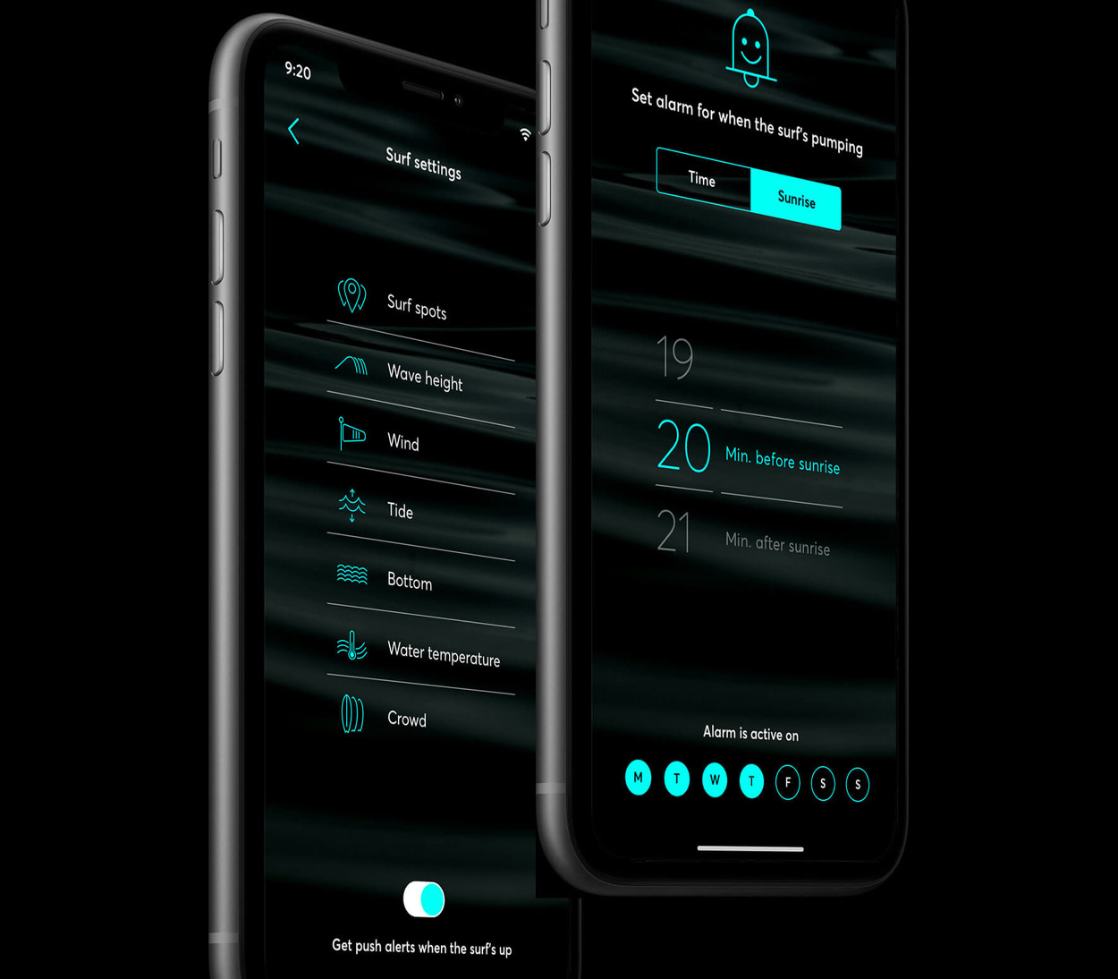 Surfly - Carlos Guedes