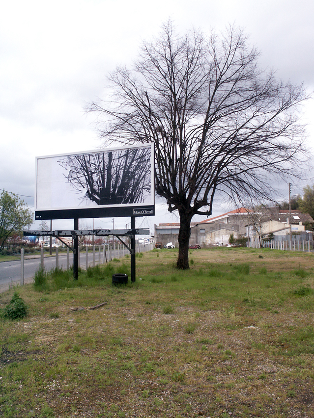 See-through: Tree - Urban blooz